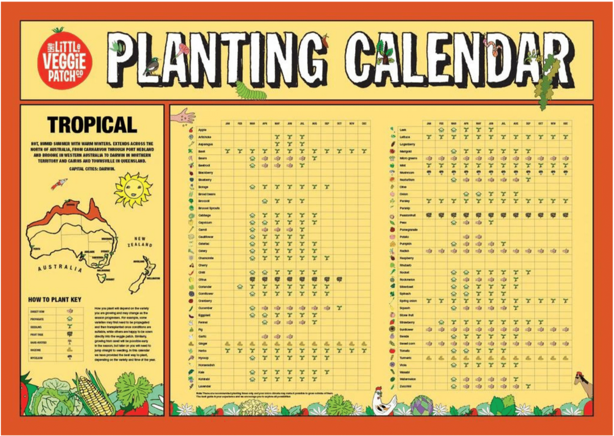 Planting Calendars Climate Specific – The Little Veggie Patch Co
