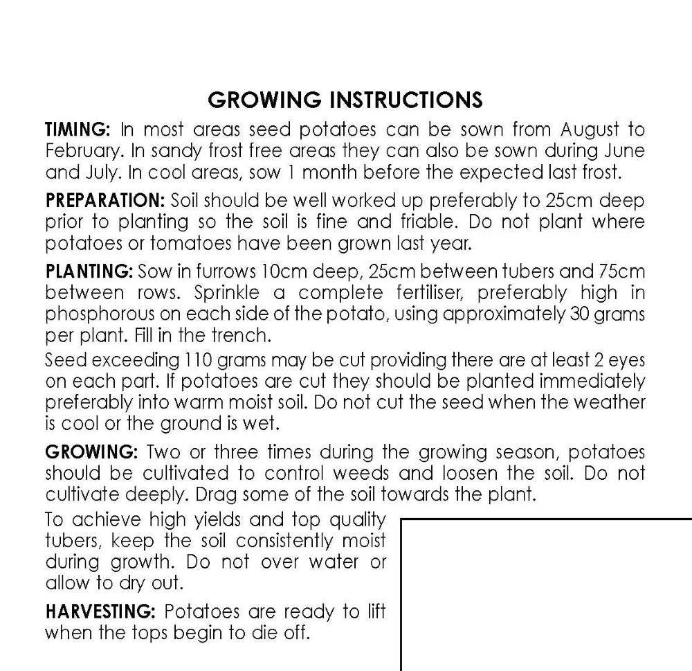 Nicola Seed Potatoes – The Little Veggie Patch Co