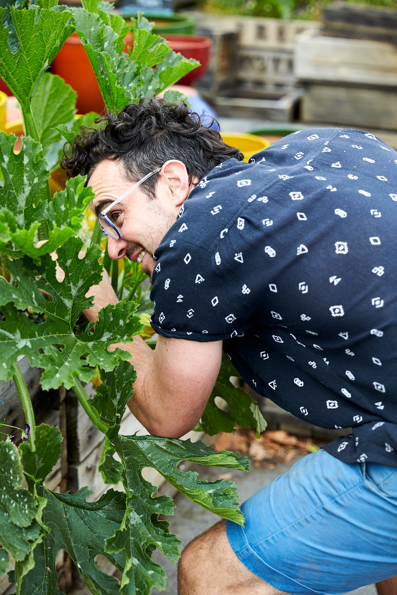 Hand Pollination – The Little Veggie Patch Co