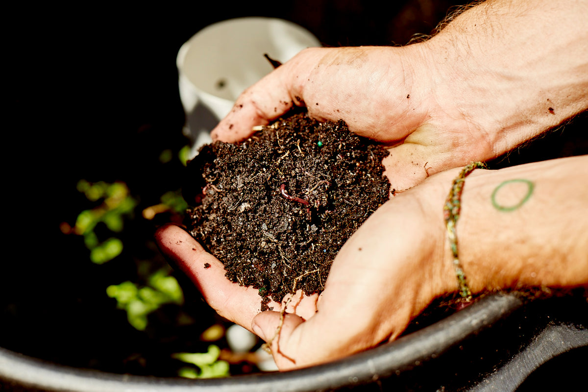 Turn Your Home into a Composting Machine – The Little Veggie Patch Co