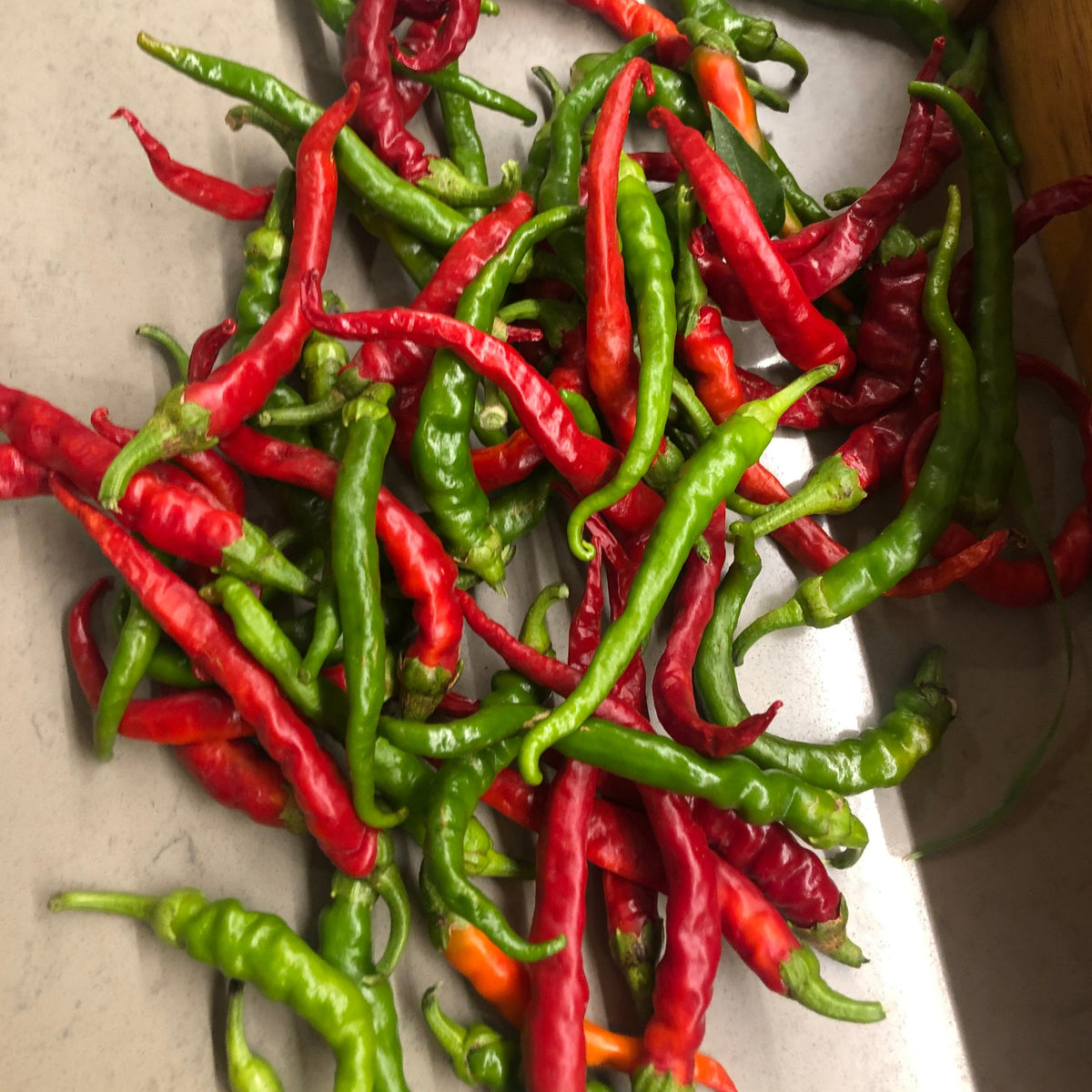 Chilli 'Cayenne' Heirloom Seeds – The Little Veggie Patch Co