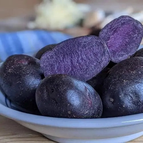 Royal Blue Seed Potatoes – The Little Veggie Patch Co