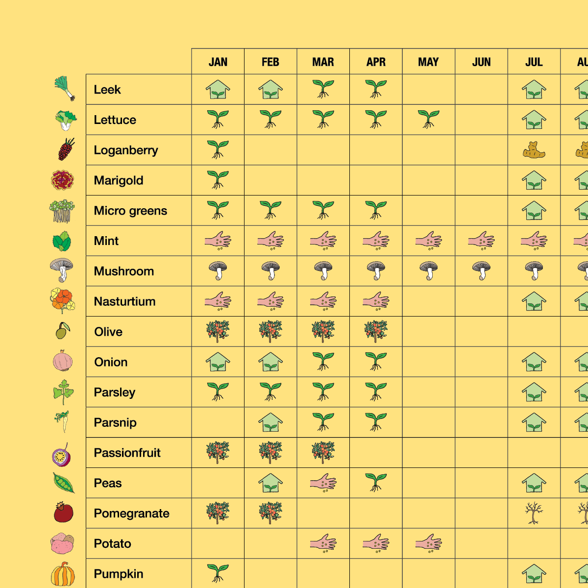 Planting Calendar SUBTROPICAL CLIMATE Digital – The Little Veggie Patch Co