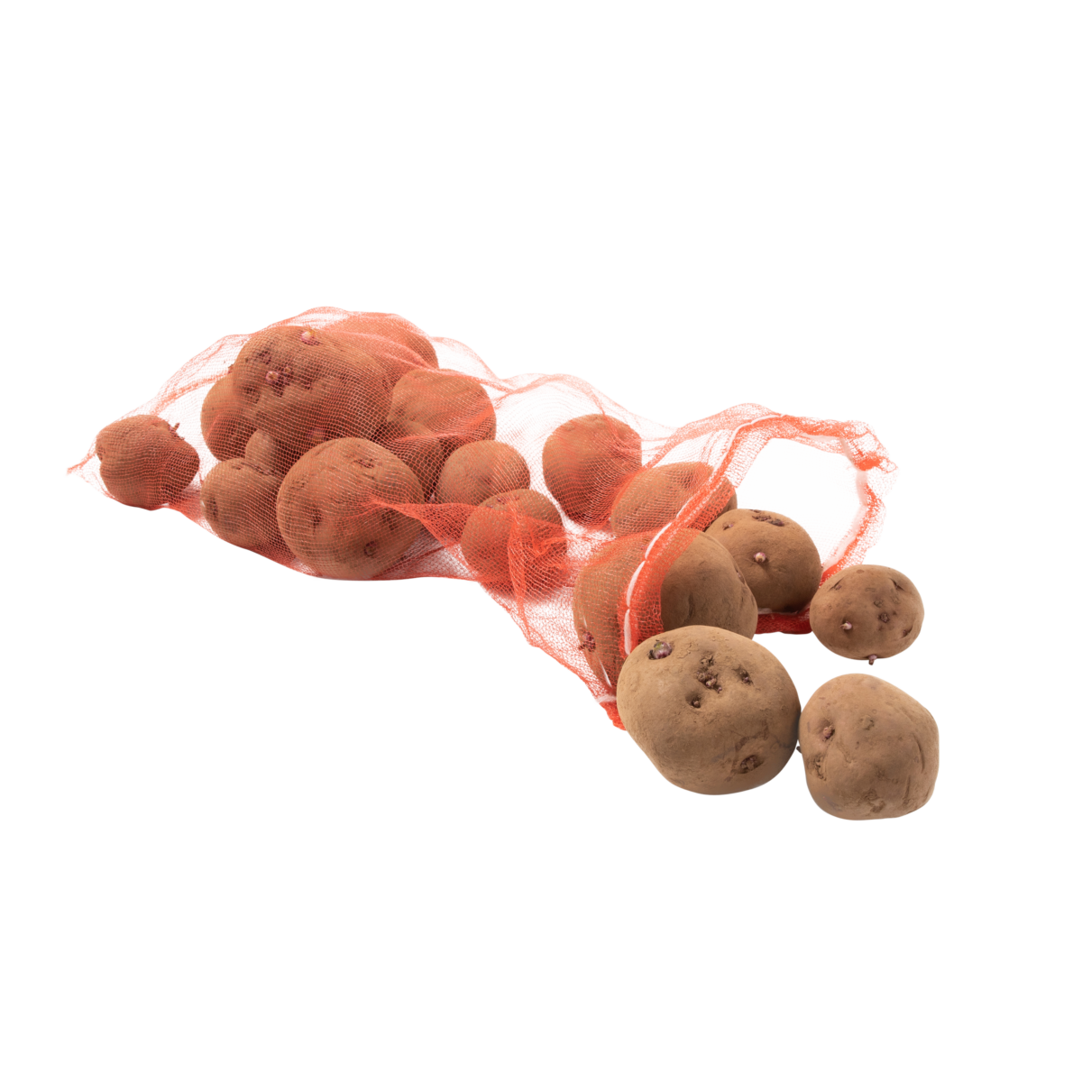 Royal Blue Seed Potatoes – The Little Veggie Patch Co