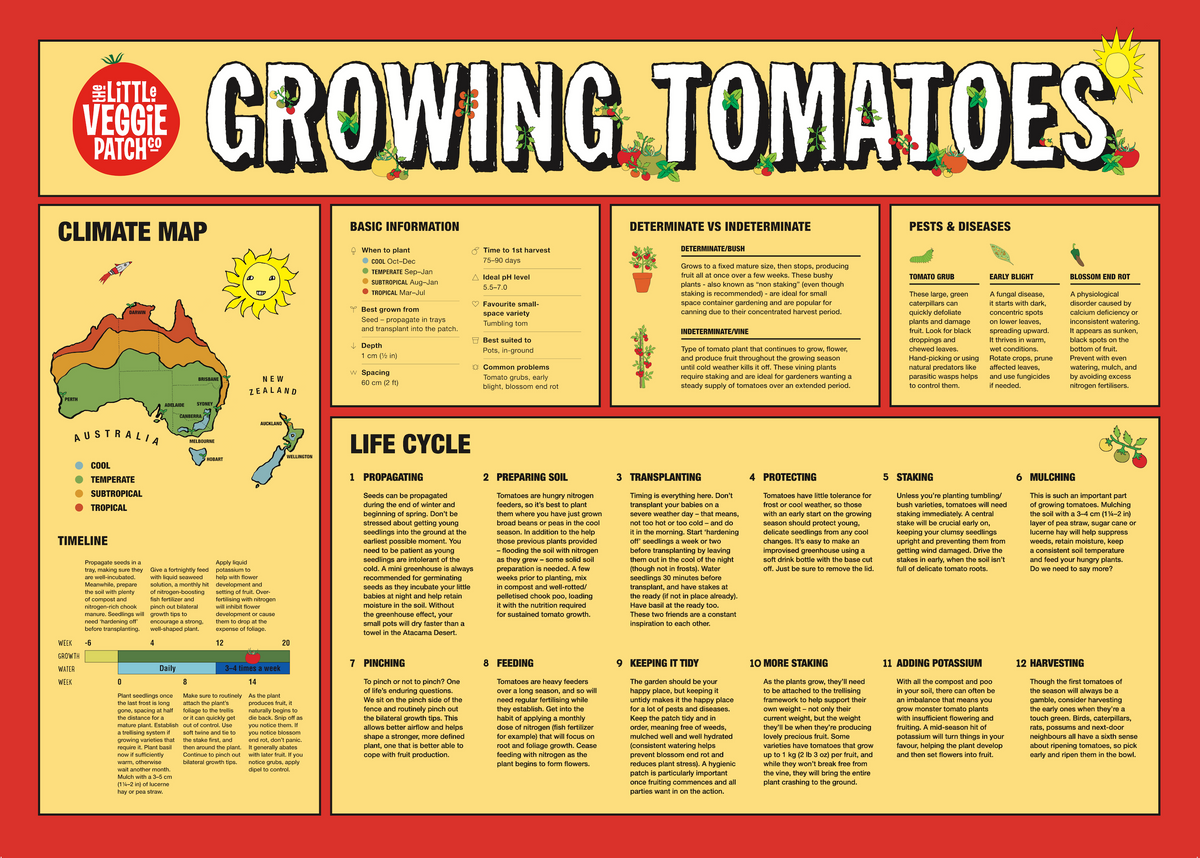 Tomato Planting Chart + BIG Heirloom Tomato Seed Bundle – The Little ...