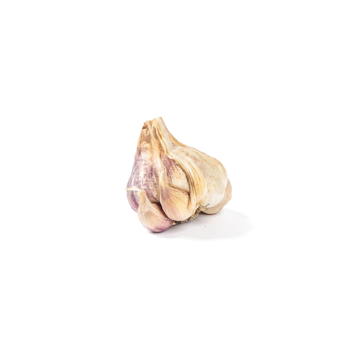 Australian Organic Garlic Bulbs – The Little Veggie Patch Co