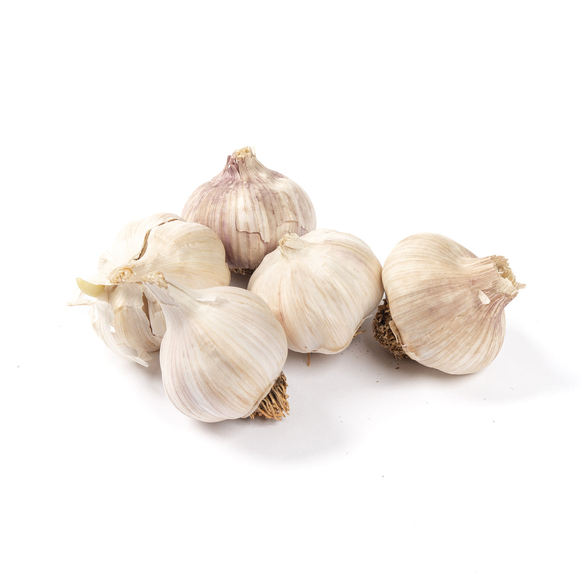 Australian Organic Garlic Bulbs – The Little Veggie Patch Co