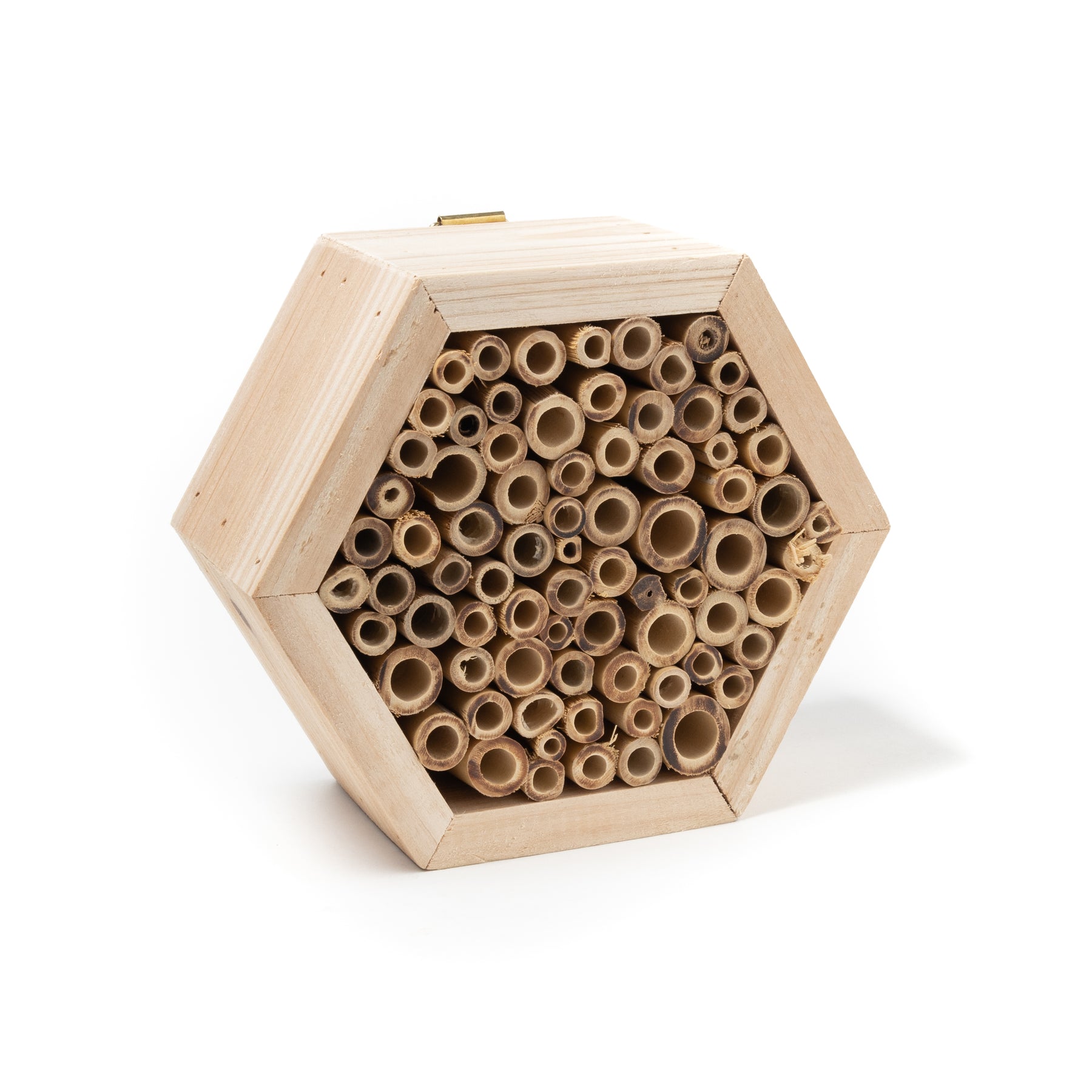 Hexagon Insect Hotels Set - Pinecone, Wood and Bamboo – The Little ...