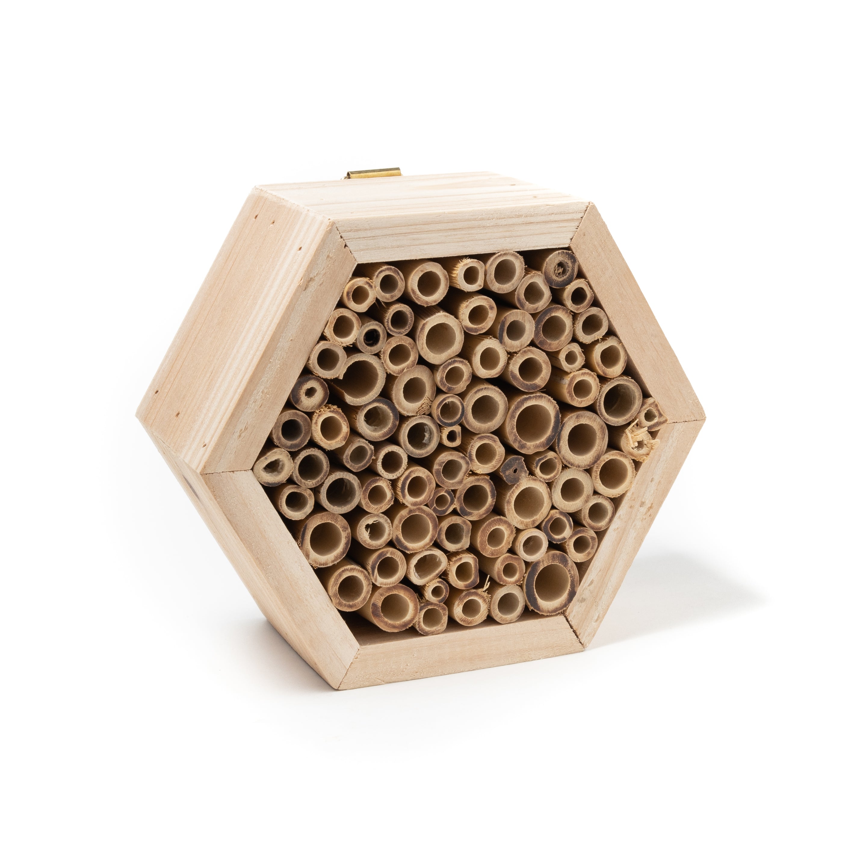 Hexagon Insect Hotels Set - Pinecone, Wood and Bamboo – The Little ...