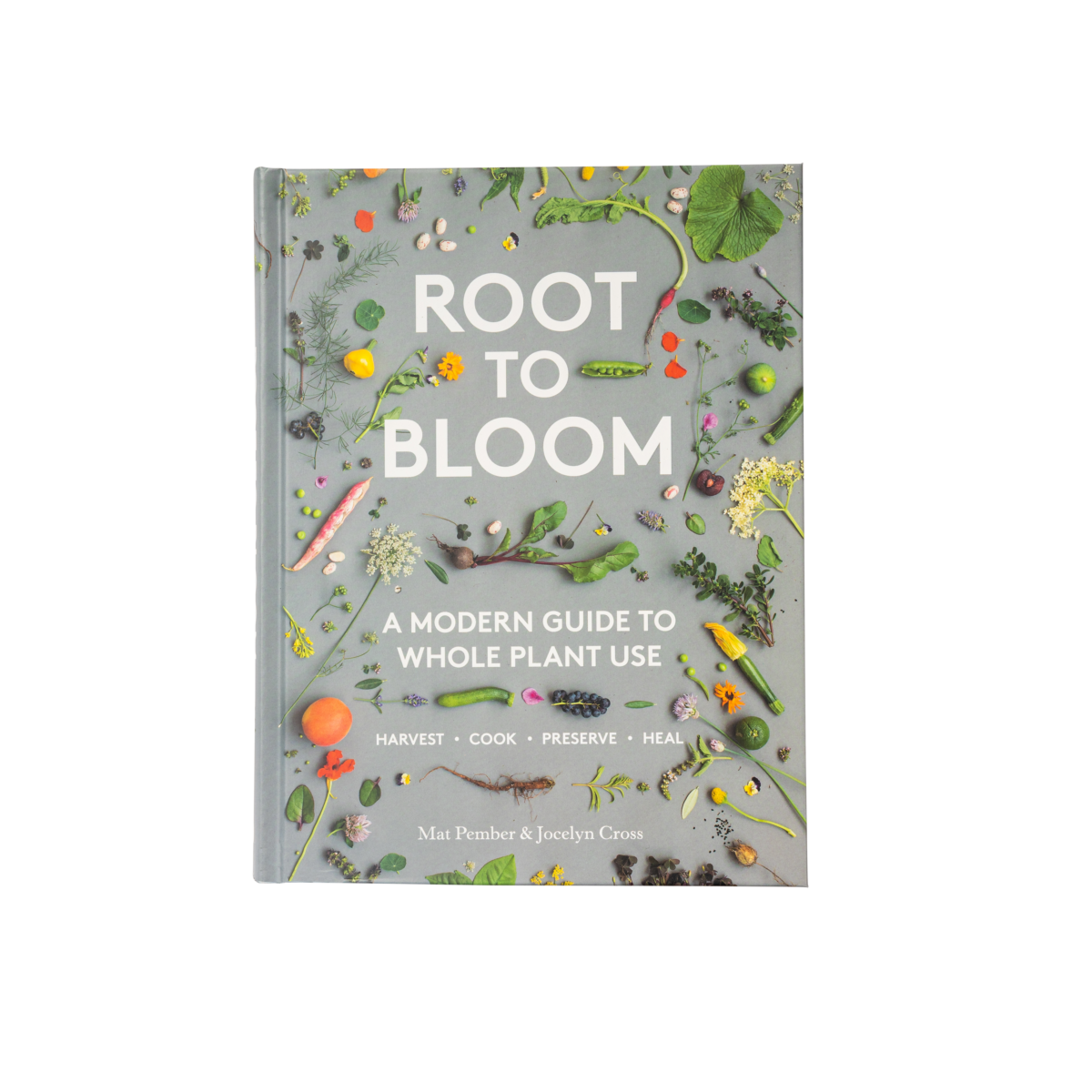Root to Bloom – The Little Veggie Patch Co