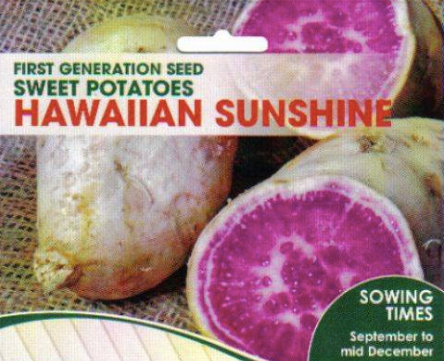 Sweet Potato Hawaiian Sunshine – The Little Veggie Patch Co